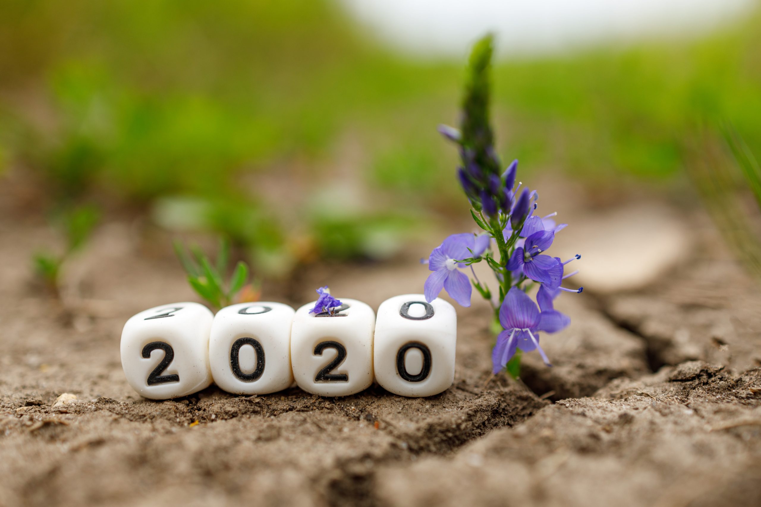 My 2020 Annual Review I m Funemployed my-2020-annual-review-i-m-funemployed